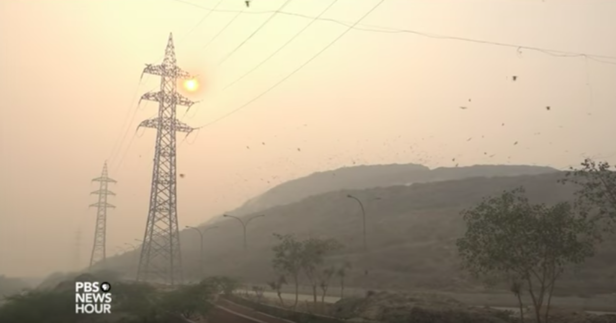 VIDEO: Waste to Energy Tackling Delhi’s Mountains of Waste | WMW