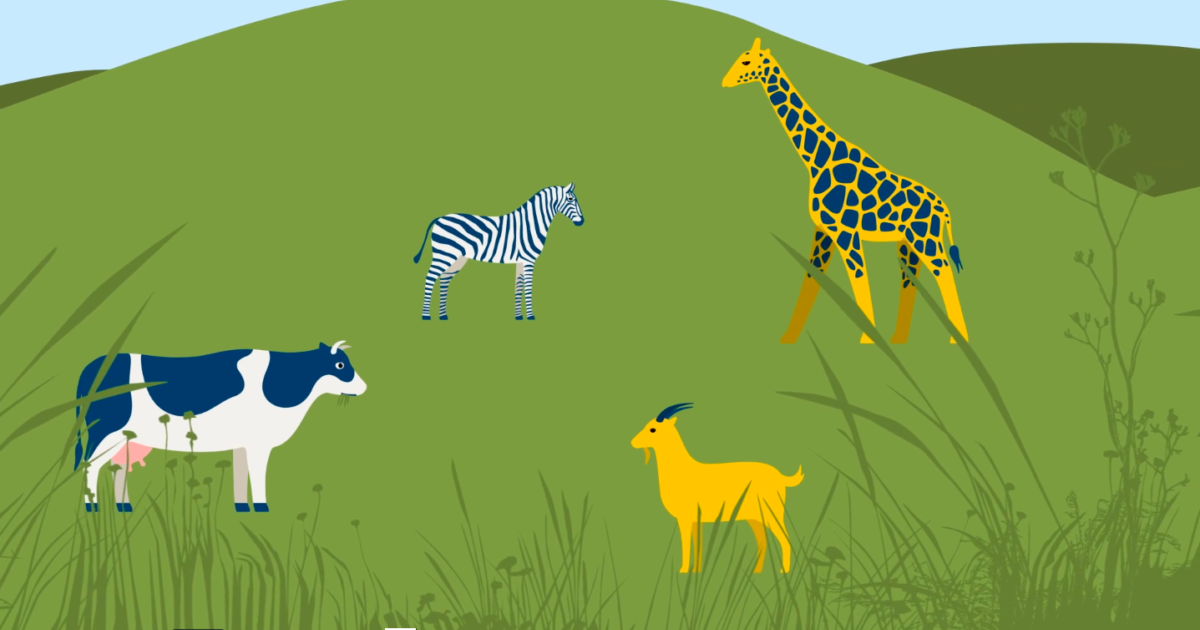 VIDEO: Microbes from Zoo Poo – the Future of Waste to Energy? | WMW