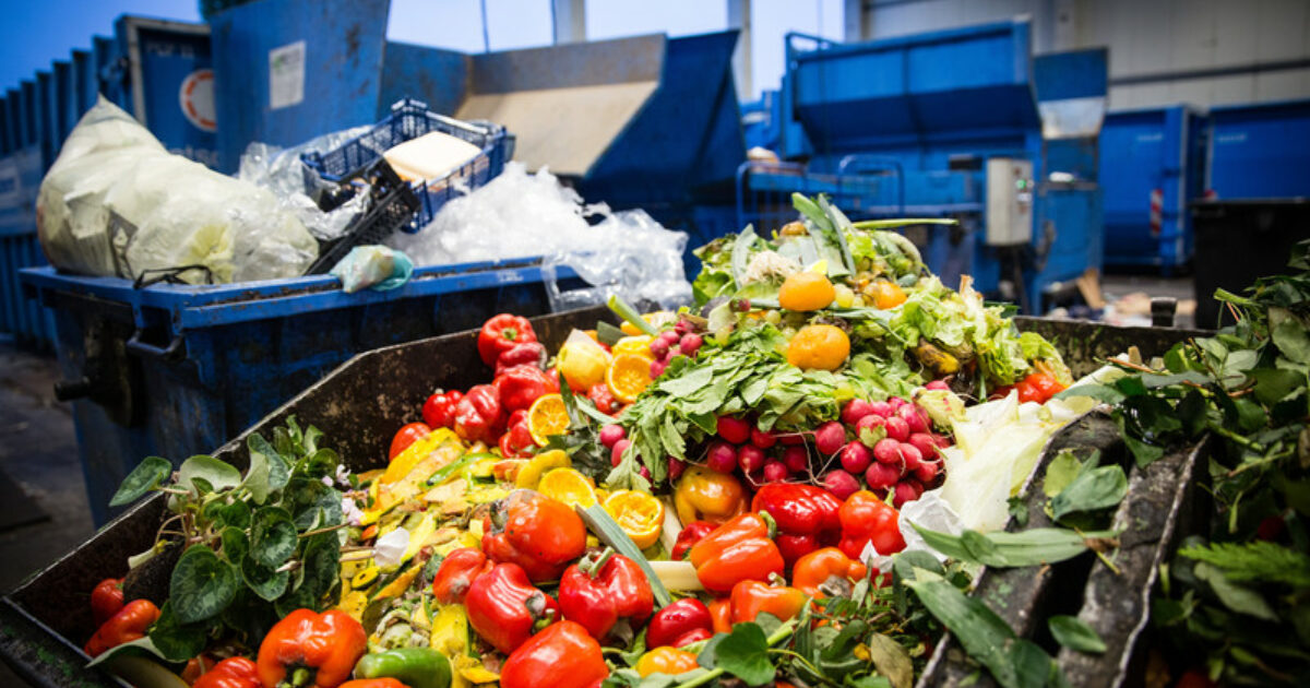 Orbisk set to scale digital food waste monitoring system | WMW