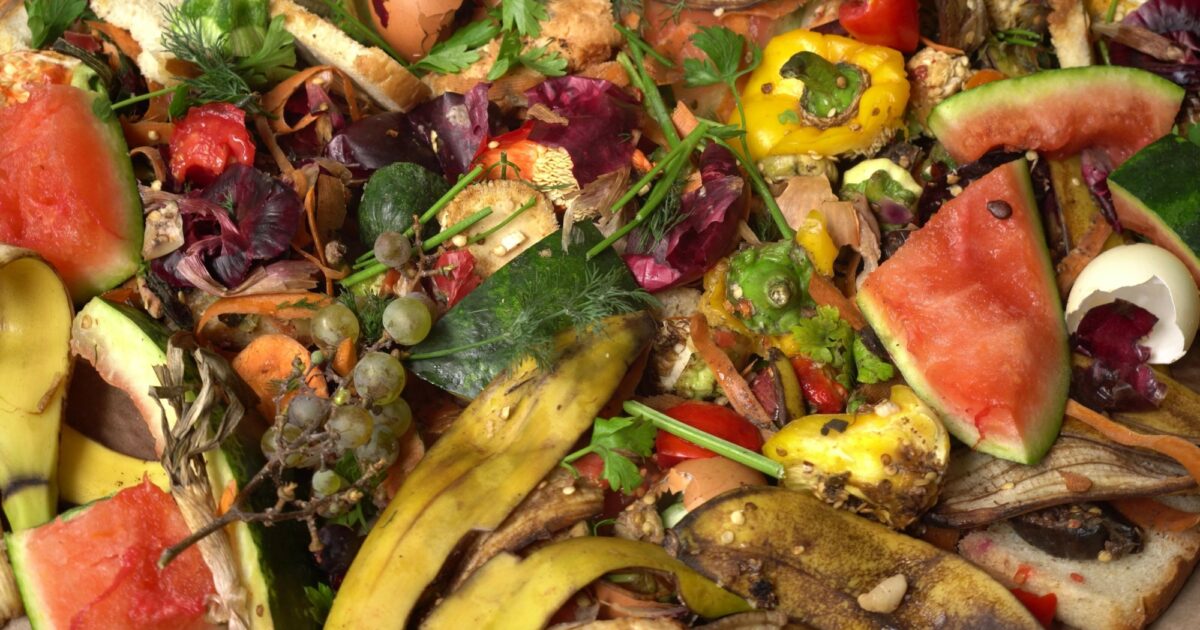 Tensei converts biowaste into paper packaging | WMW