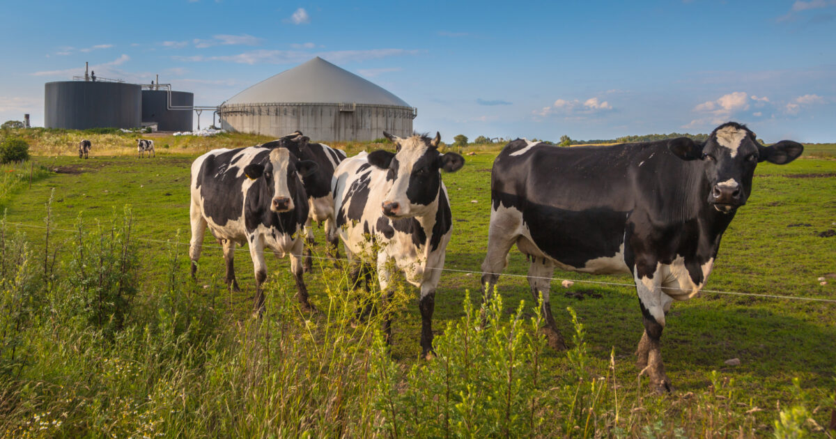What about small scale anaerobic digesters? | WMW